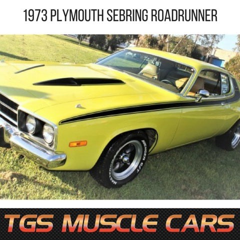 TGS Muscle Cars